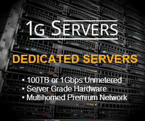 1GServers.com - 100TB Metered Servers - 1G Unmetered Servers